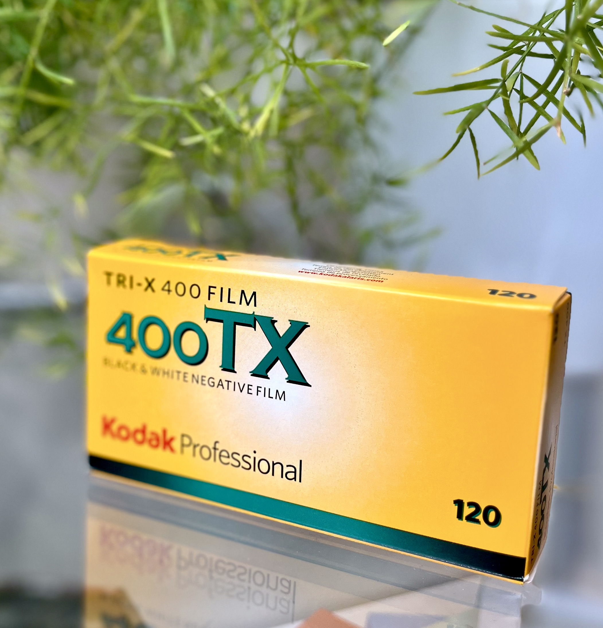 KODAK 400TX 120 - 1 rouleau - Photolix Film Lab